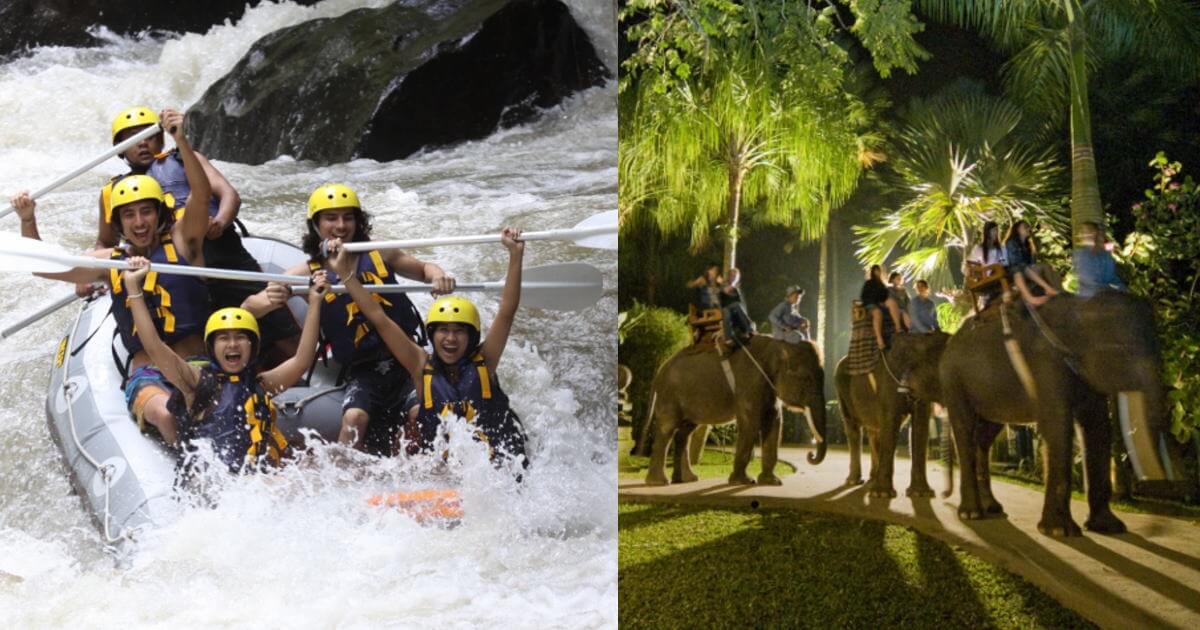 バリ島ラフティング＋ナイトサファリ【エレファントサファリパーク】2025-2026年チケット予約 | 【バリ歩き】 バリ島旅行の日帰り ...